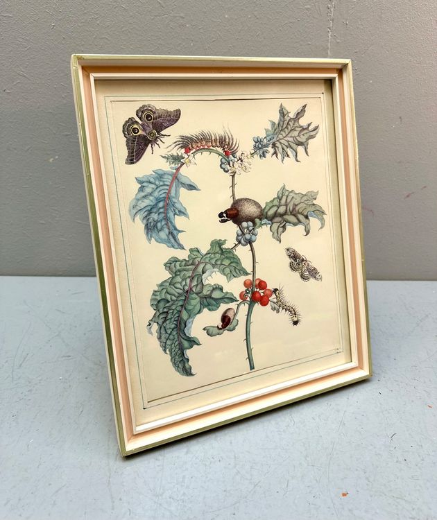 BILD “MERIAN” AB 1.-!!! (Gebraucht) in Zürich für CHF 2 – nur Abholung ...