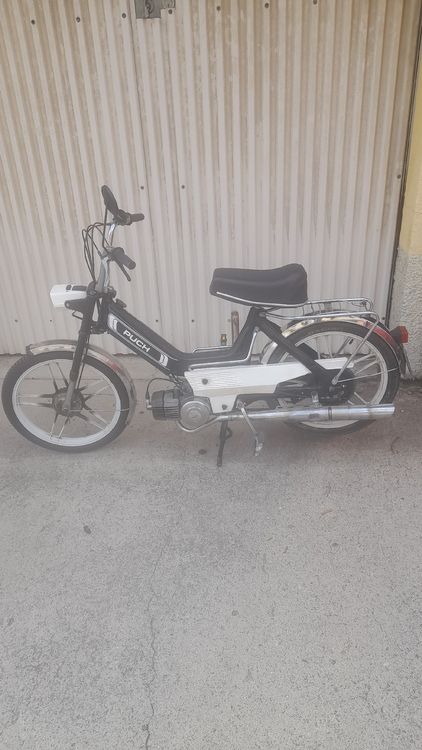 puch maxi n (Gebraucht) in La Tour-de-Trême für CHF 1620 – nur Abholung ...