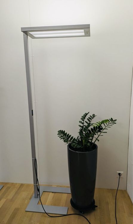 2Stk. Waldmann LED Stehleuchten ab 1CHF !!! | Kaufen auf Ricardo