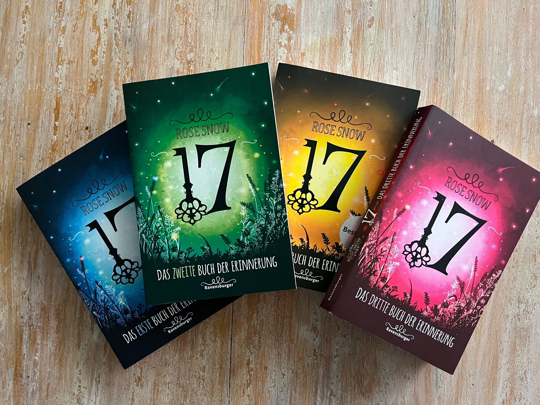 4 Top Bücher von Rose Snow Das 1. bis 4. Buch der Erinnerung (Gebraucht ...