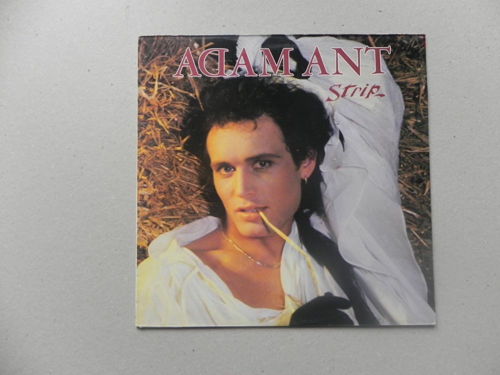 LP brit. Pop Rock Sänger Adam Ant 1983 Strip (Gebraucht) in Siebnen für CHF 13 – mit Lieferung ...