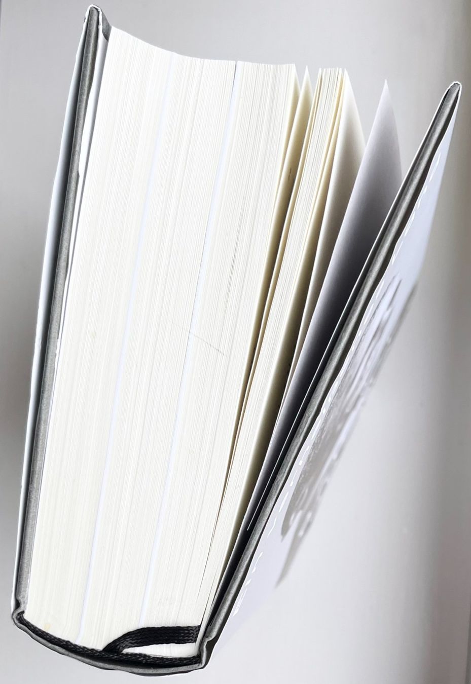 Ein verheissenes Land – Barack Obama – Hanser Gebunden – Top (Neu ...