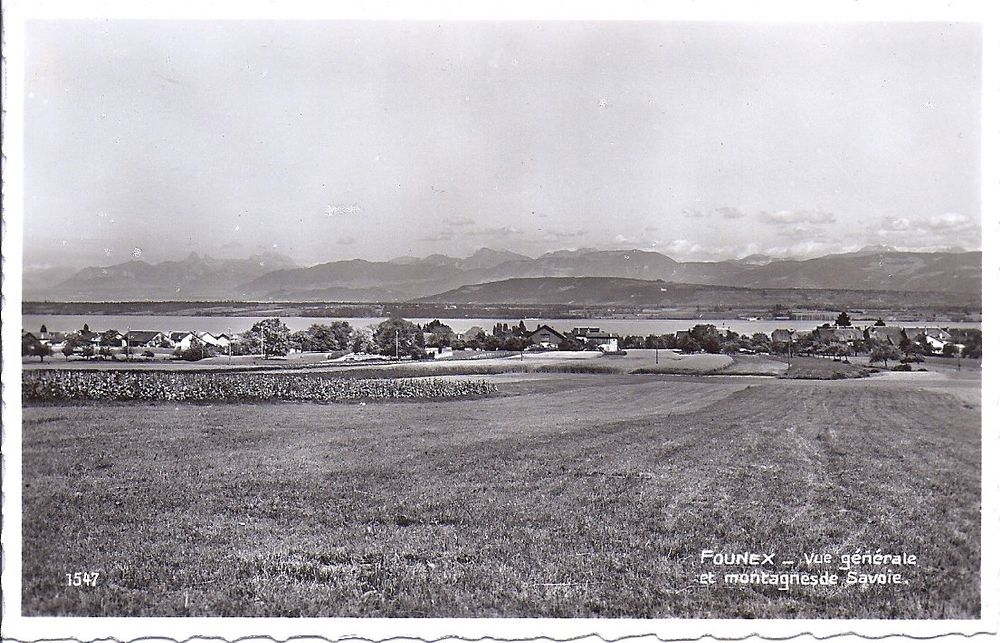 FOUNEX | Kaufen auf Ricardo