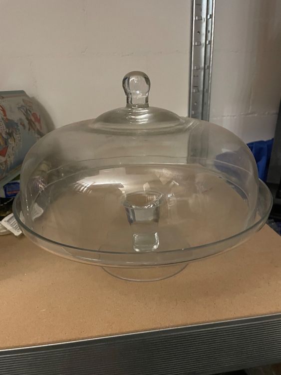 Glas Platte mit Deckel | Kaufen auf Ricardo