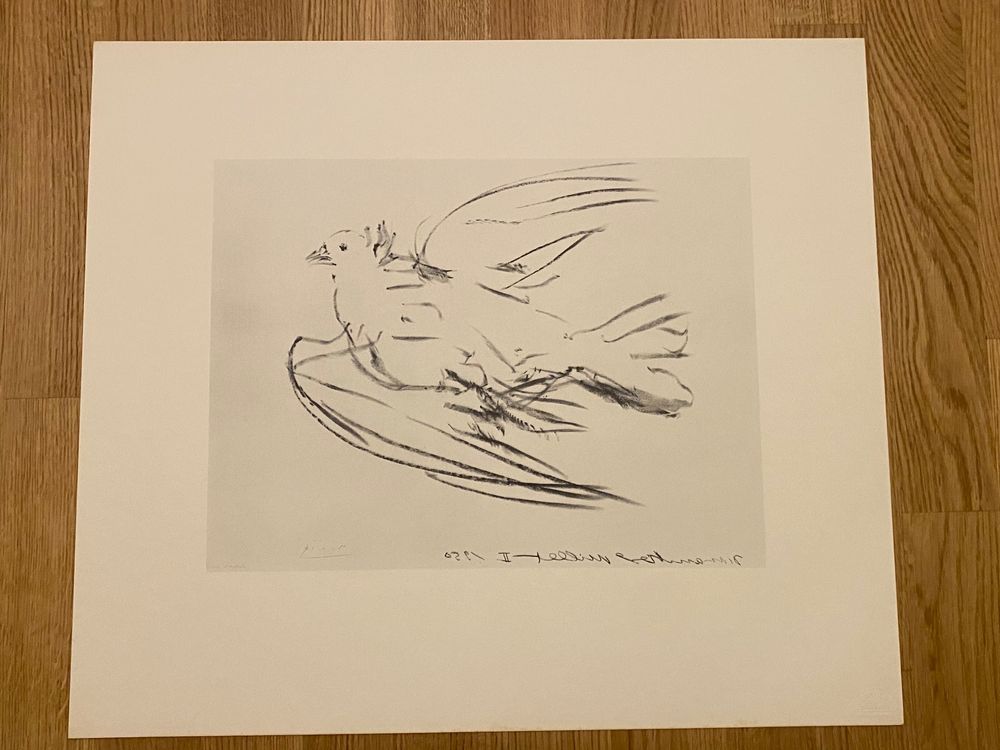 Pablo Picasso Lithogrpahie Paloma para la Paz | Kaufen auf Ricardo