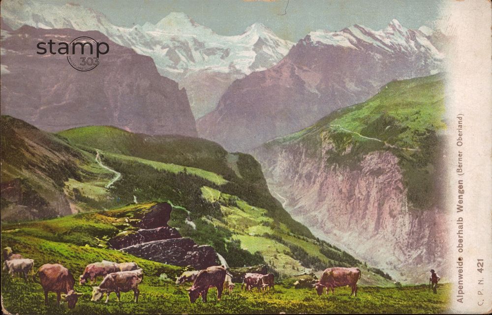 AK Alpenweide oberhalb Wengen (Gebraucht) in Eggersriet für CHF 1 – mit ...