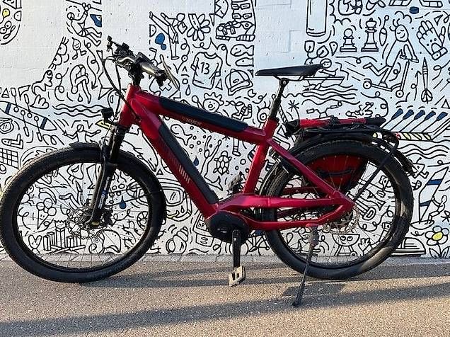IBEX eGreat Divide: 45 km/h Speed-E-Bike mit Dual-Akku (Gebraucht) in ...