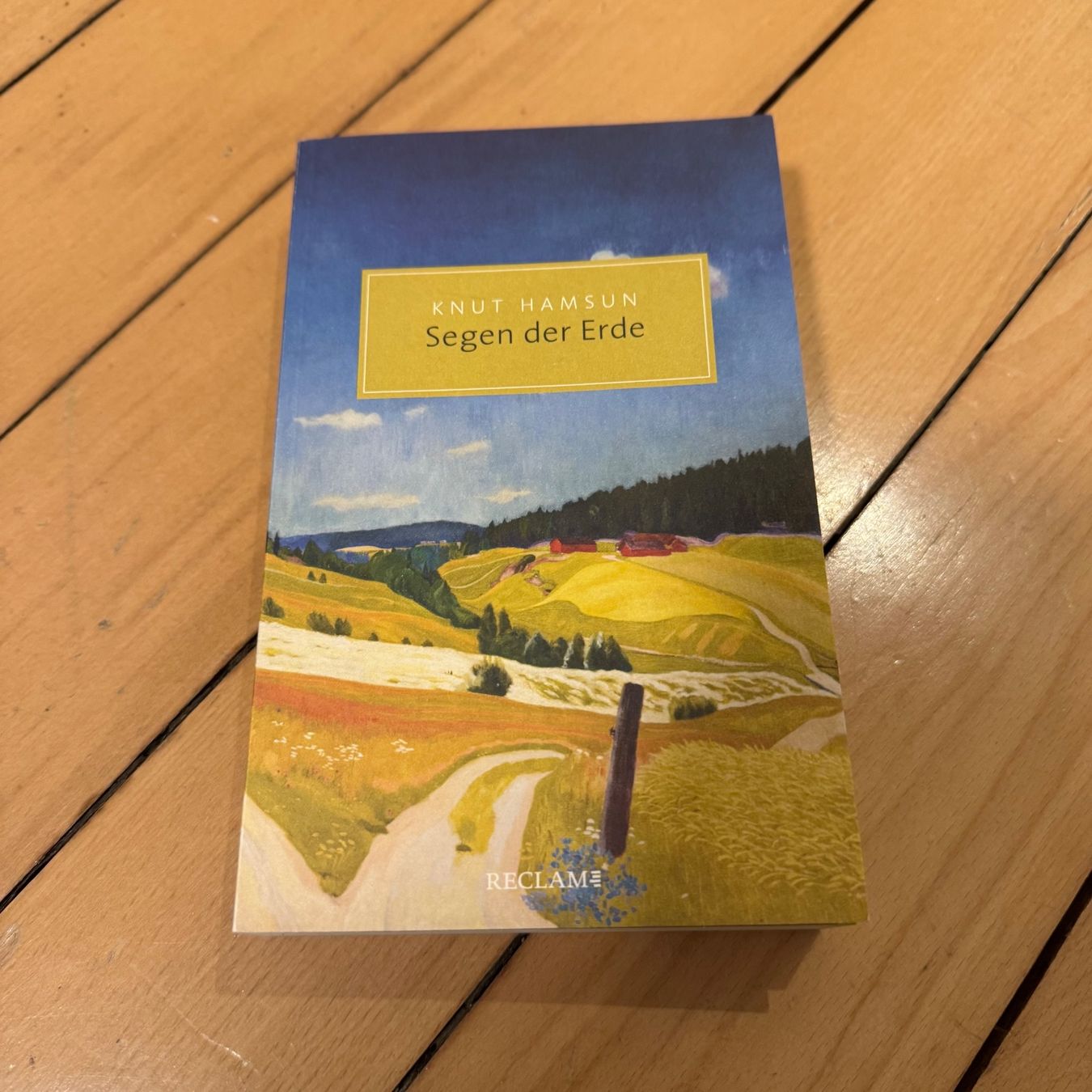 Knut Hamsun - Segen der Erde, neu & ungelesen! (Neu (gemäss ...