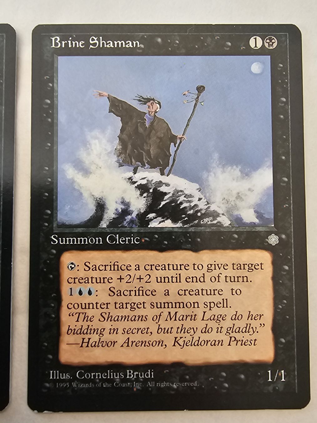 Magic The Gathering: 2 x Brine Shaman, (Gebraucht) in Wisen SO für CHF ...