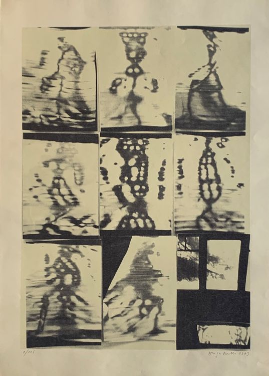 Hugo Suter (1943-2013) Lithographie Handsigniert (Gebraucht) in für CHF ...