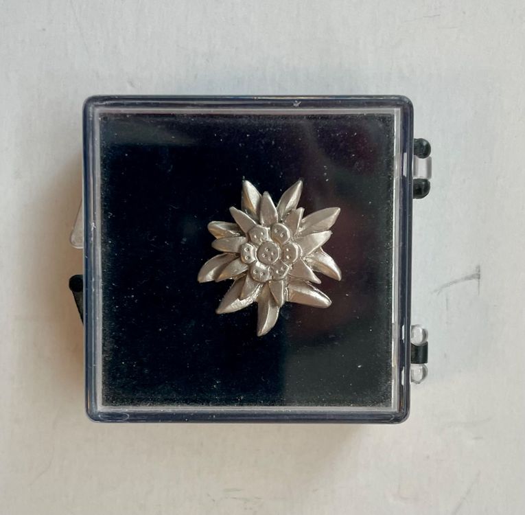 Badge Pin Spilla STELLA ALPINA Edelweiss - Argentato | Kaufen auf Ricardo