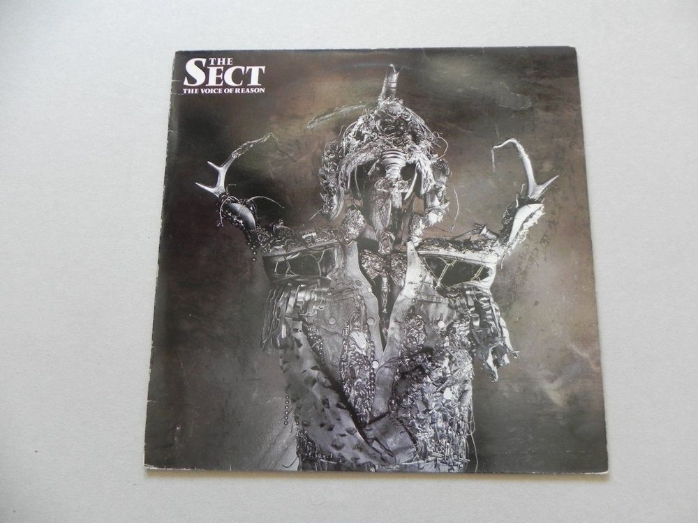LP Punk Rock Band The Sect 1987 (Gebraucht) in Siebnen für CHF 14 – mit ...