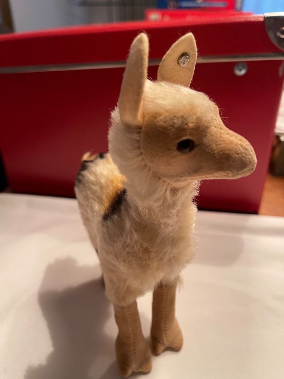 Steiff Lama von 1960 - Sehr süss (Gebraucht) in Wetzikon ZH für CHF 35 ...