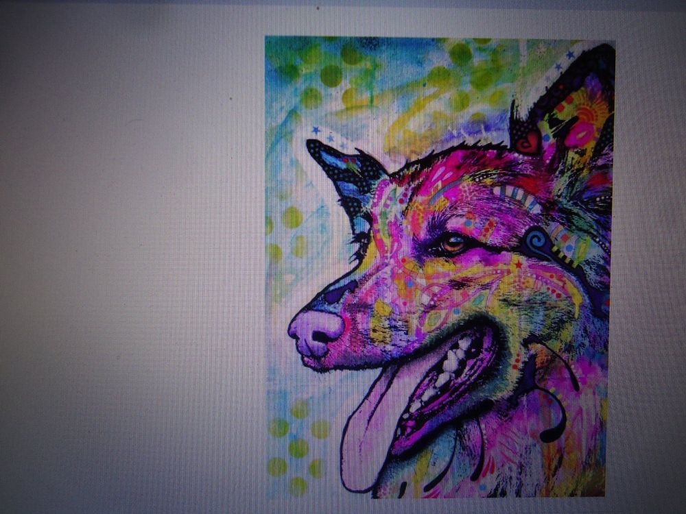 neu! Malen nach Zahlen, 40 x 50 cm, alles dabei + Rahmen | Kaufen auf Ricardo