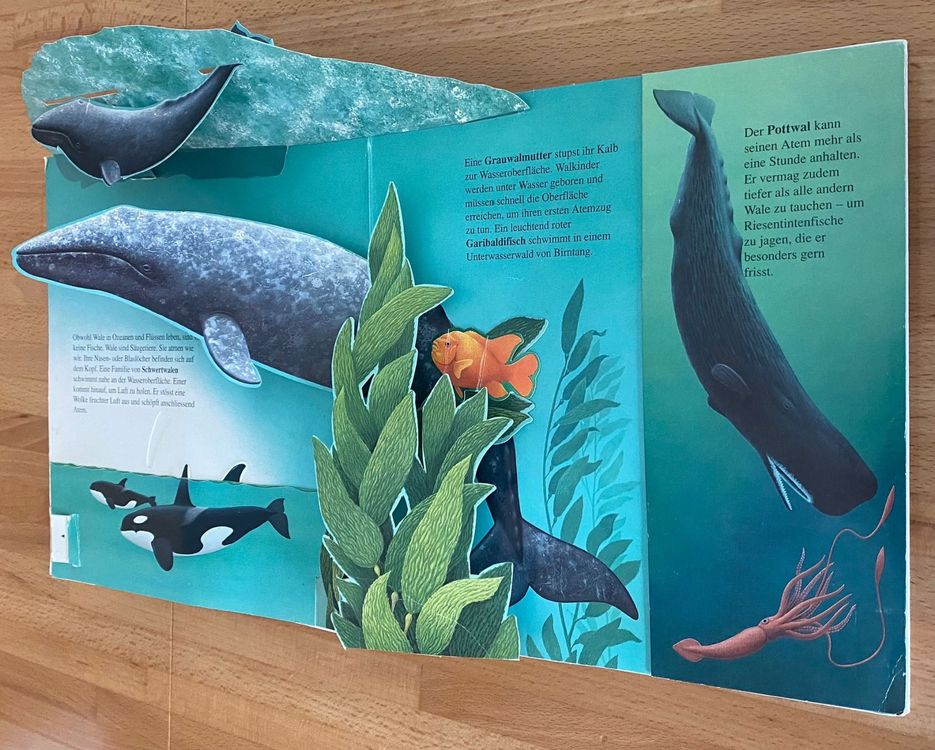 Buch Wale - Giganten der Meere - Pop-up Buch | Kaufen auf Ricardo