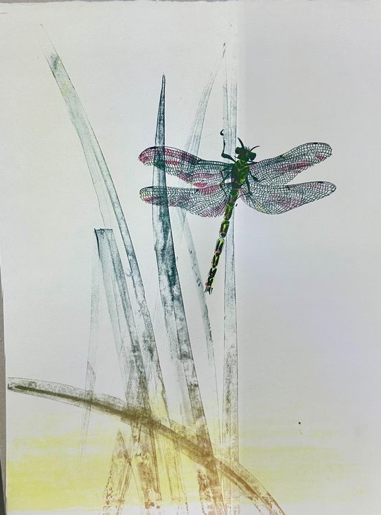 Interessante Lithographie von Alex Walter Digglemann, 45x30 (Gebraucht ...