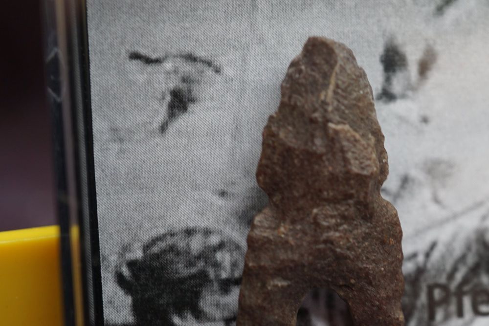 Pfeilspitze Silex Sammlerdisplay Sammlerstück (Neu und originalverpackt) in Eschenbach SG für ...