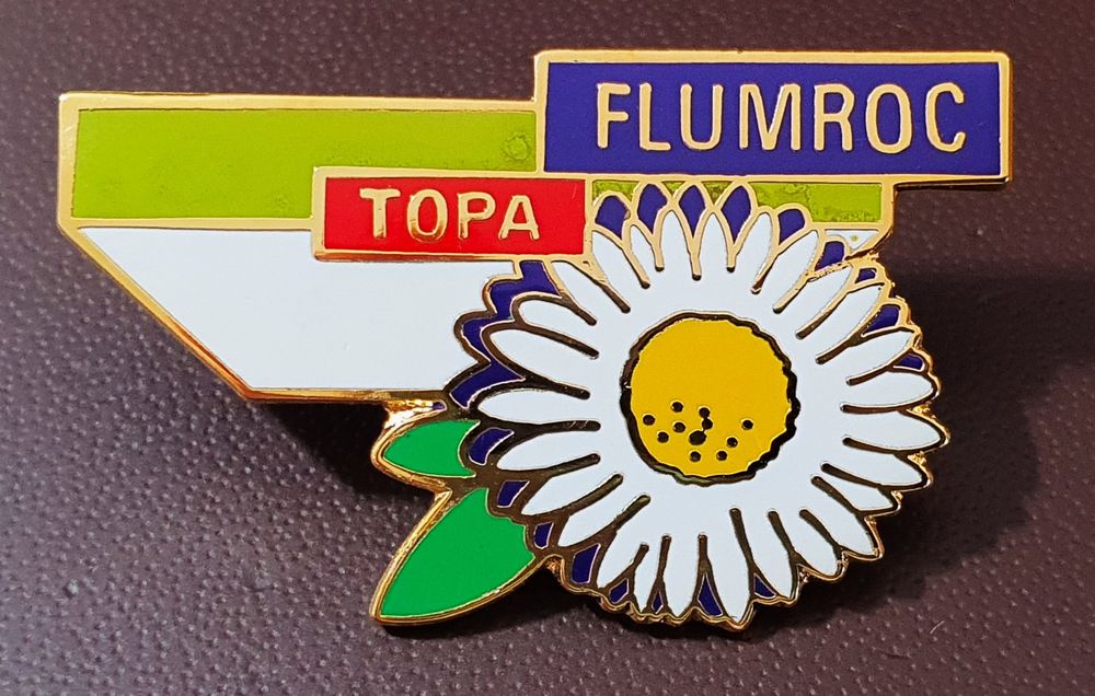 R536 - Pin Flumroc - TOPA / Ecublens VD / Heimberg (Gebraucht) in ...