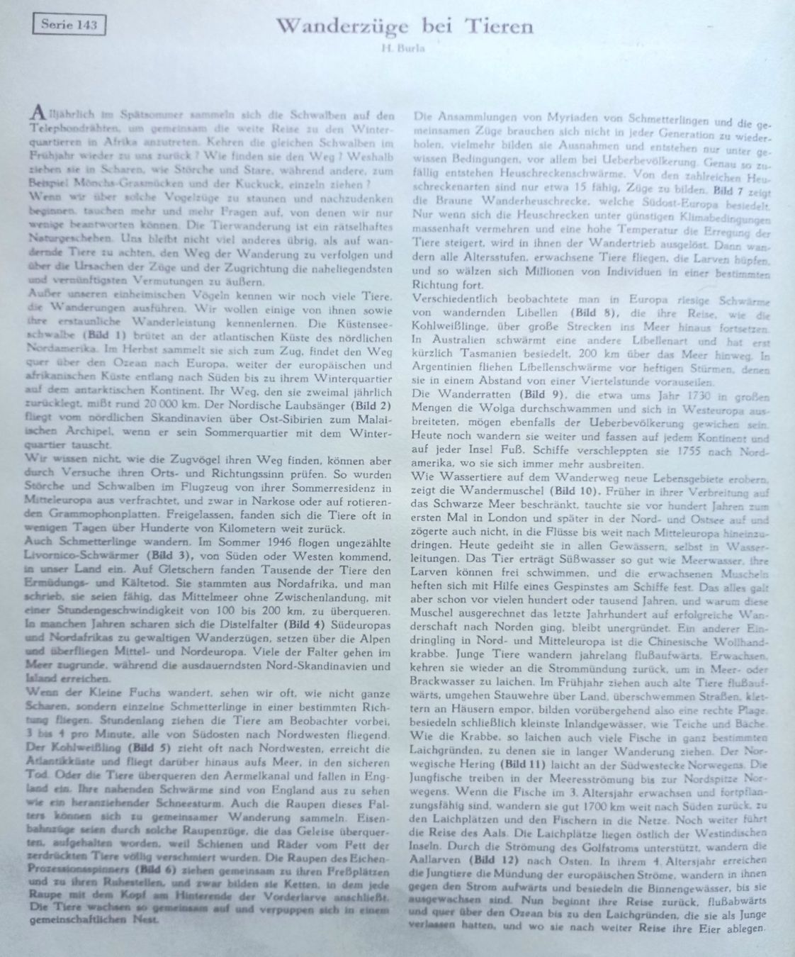 Buch - Wunder aus aller Welt - Nestlé, Peter Cailler, Kohler (Gebraucht ...