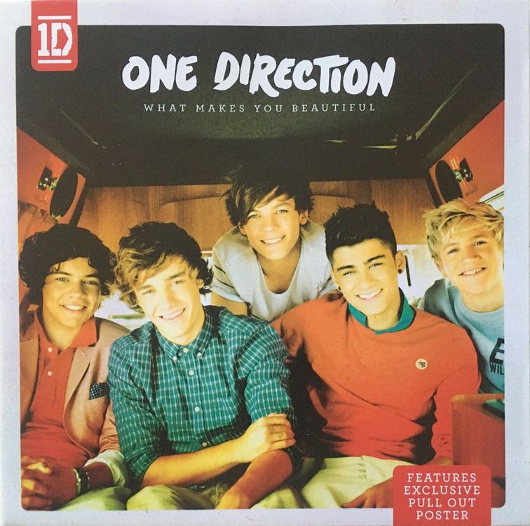 ONE DIRECTION - WHAT MAKES YOU BEAUTIFUL (Gebraucht) in Bottens für CHF ...