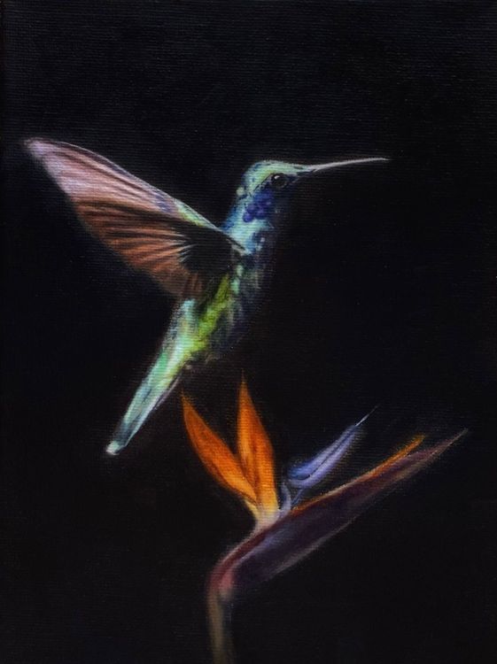 Kolibri und Strelitzie, Öl auf Leinwand, 18 x 24 cm (Neu und originalverpackt) in Adliswil für ...