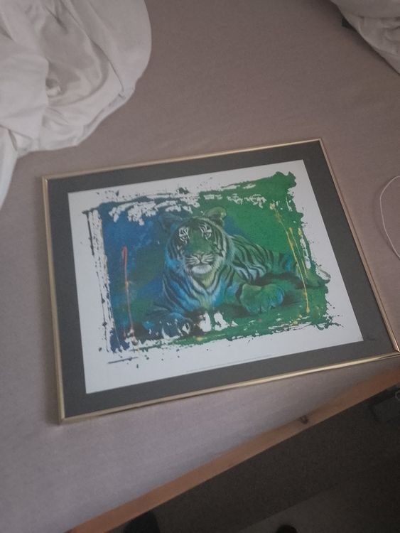 Bild Rolf Knie (Gebraucht) in Weinfelden für CHF 136.35 – nur Abholung auf Ricardo kaufen