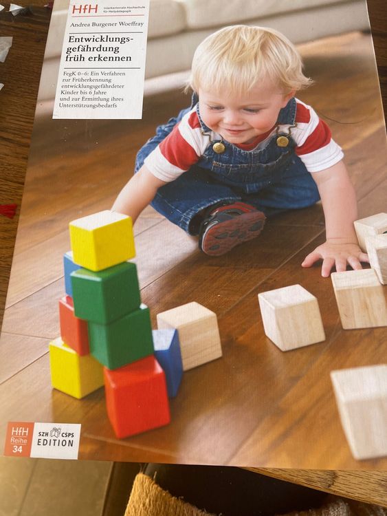 Andrea Burger: Entwicklungsgefährdung früh erkennen (7) (Neu (gemäss ...