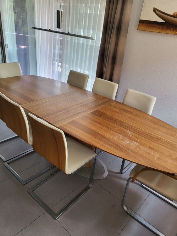 Lederstuhle Fur Esstisch