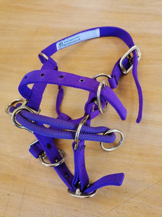 Dually Halfter violett von Monty Roberts (Gebraucht) in Biberist für ...