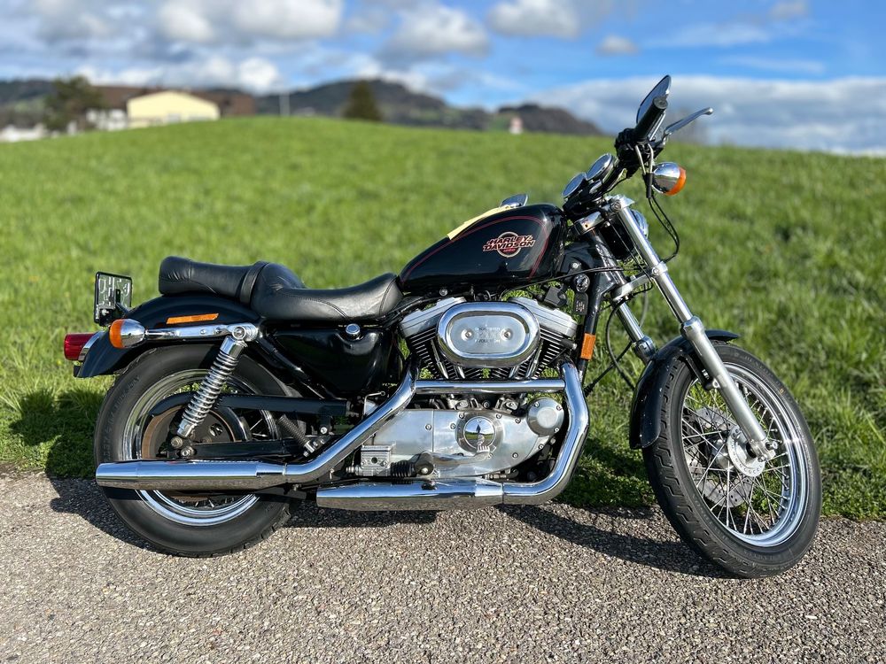Harley Davidson Sportster Evolution 1200 mit MFK März 2023 (Gebraucht ...