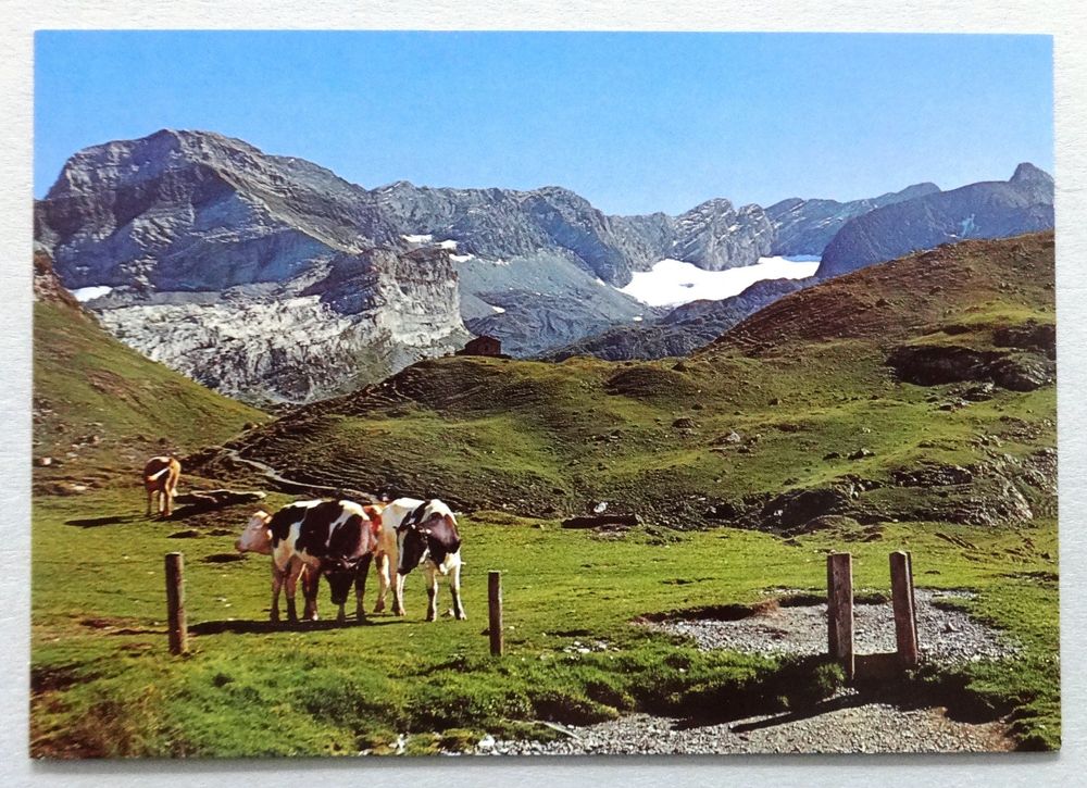 Les hauts d'Anzeindaz, la cabane Barraud (D'occasion) à Fétigny pour ...
