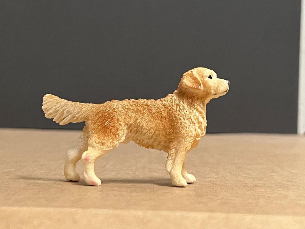 Schleich 16394 Golden Retriever Rüde Hund (Gebraucht) in Ennetbaden für CHF 6 – mit Lieferung ...