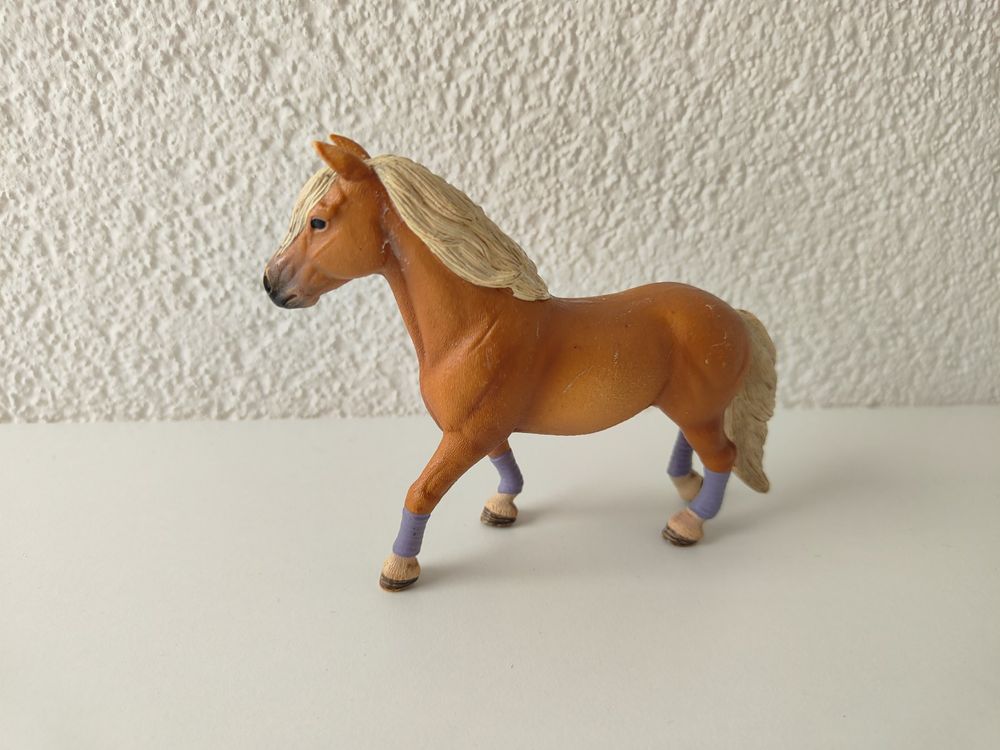 Schleich Dartmoore Hengst Horse Club Bauernhof Pferde (Gebraucht) in Thalwil für CHF 3 – mit ...