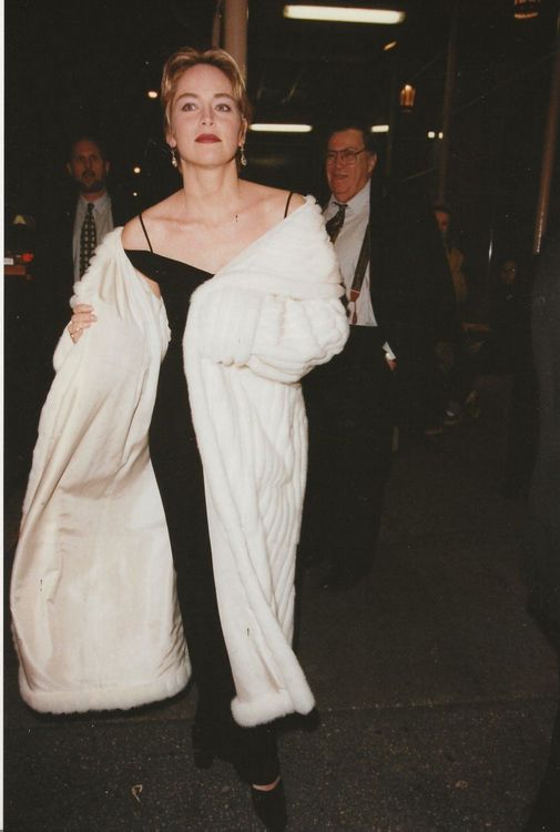 Film, Mode, Sharon Stone, Model, Actress, 1997 (Gebraucht) in ...