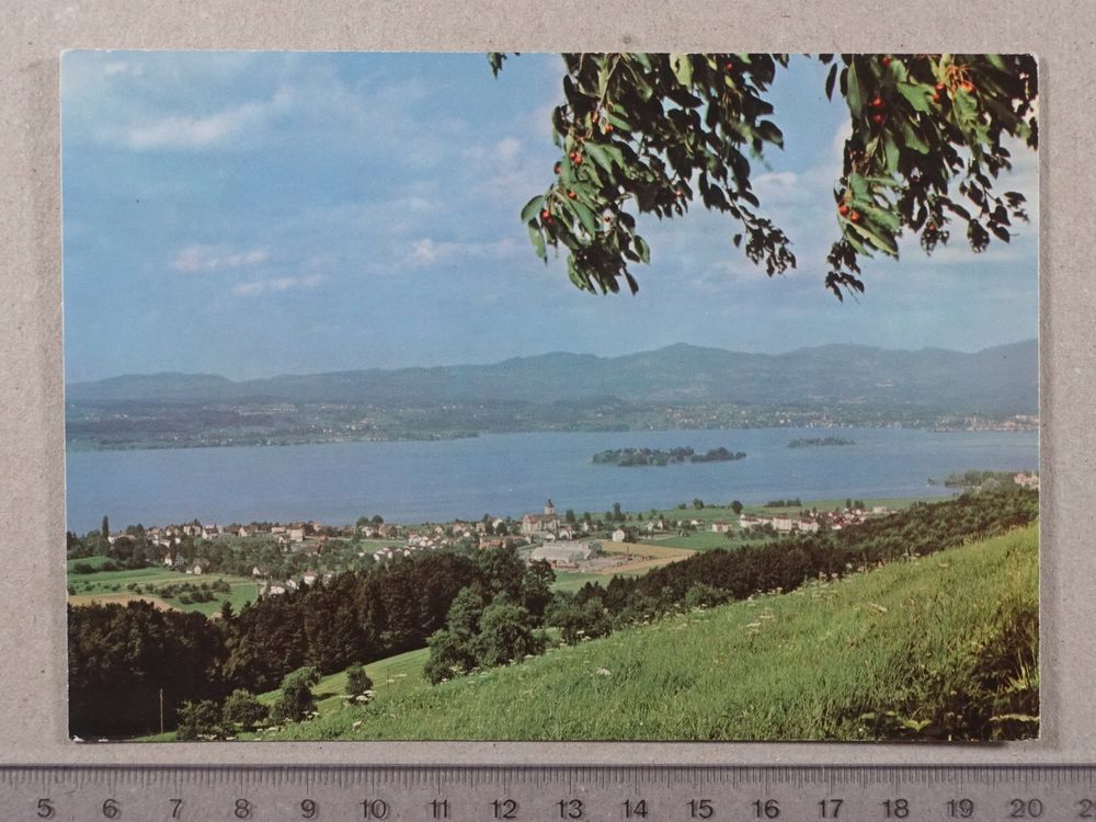 Blick von Feusisberg gegen Freienbach und Ufenau, 1966 (Gebraucht) in ...
