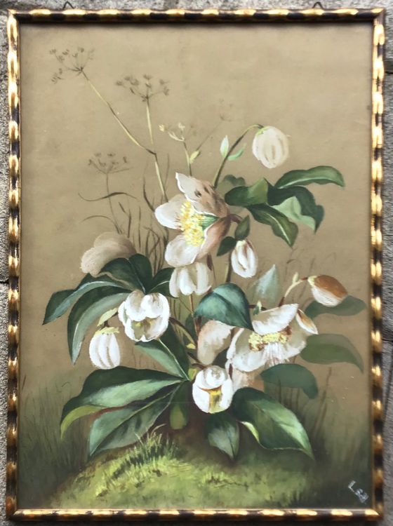 Antike Stilleben Aquarell Monogrammiert | Kaufen auf Ricardo