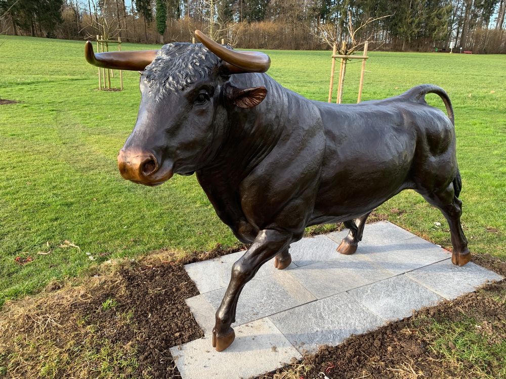 Bronze Stier (Lebensgross) | Kaufen auf Ricardo