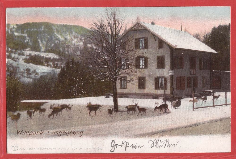 Wildpark Langenberg bei Langnau am Albis und Adliswil 1902 (Gebraucht) in Fislisbach für CHF 6 ...