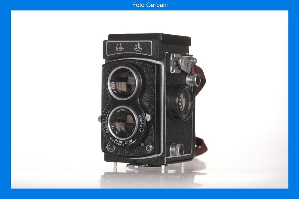 Seagull 4A103-20310 (Gebraucht) in Muralto für CHF 190 – mit Lieferung ...