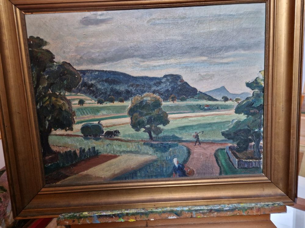 Willi Wenk (Gebraucht) in Nuglar für CHF 80 – mit Lieferung auf Ricardo ...