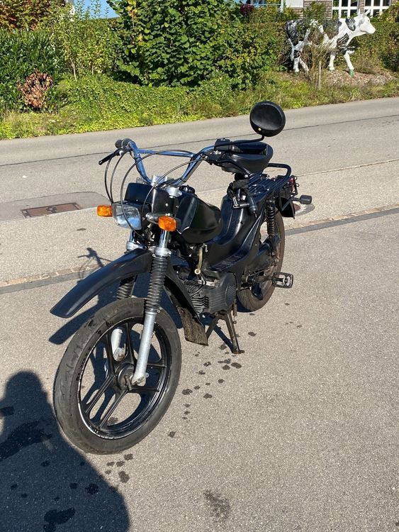 Pony Cross | Acheter sur Ricardo