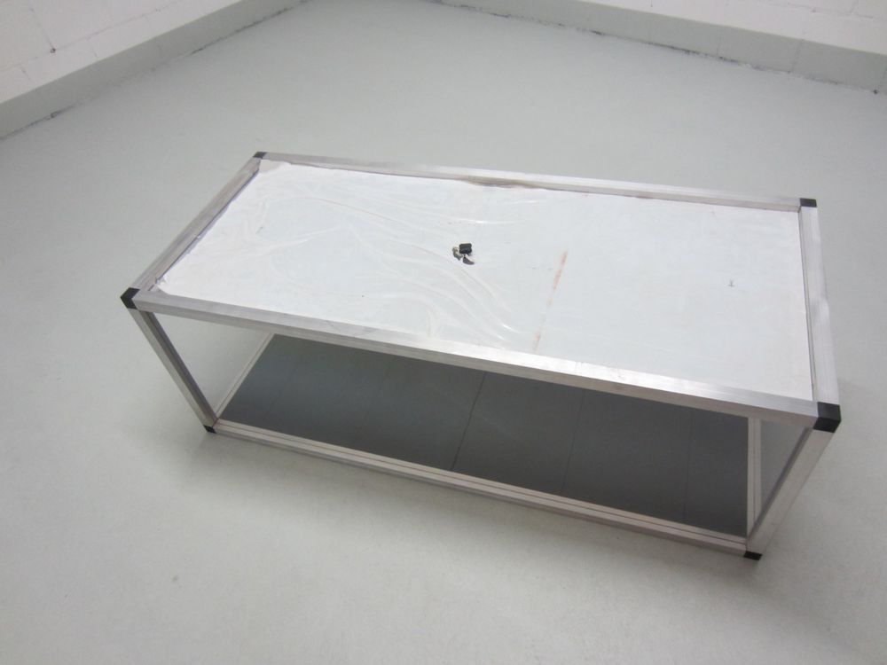 Eigenbau Plexiglas Vitrine LXBXH 104X45X38 cm. Nur Abholung | Kaufen auf Ricardo
