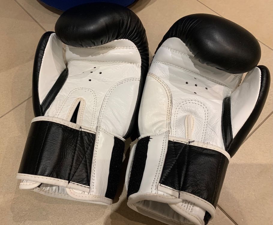 BoxSack Century Kickbox und hochwertige Boxhandschuhe (Gebraucht) in ...
