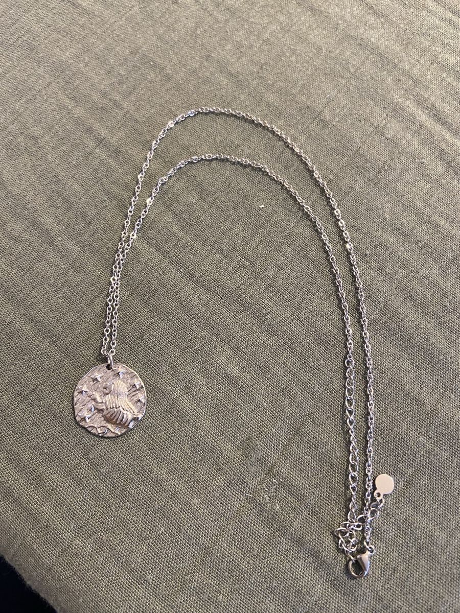 Collier chaîne Zodiac Lion argenté acier inoxydable (Neuf (Voir ...