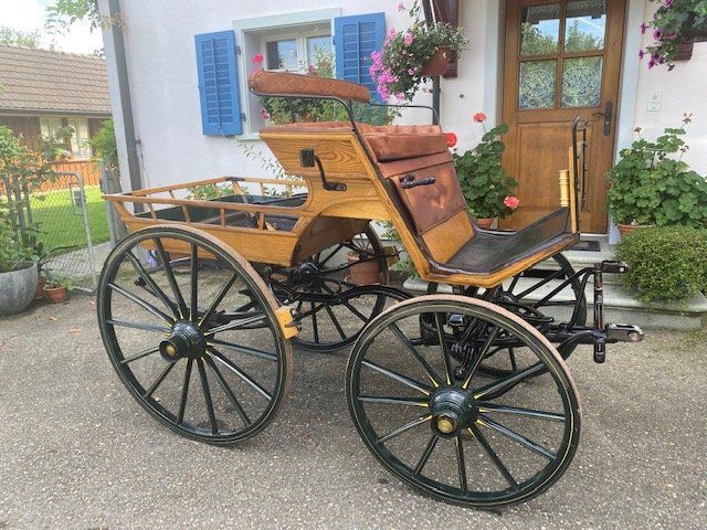 Antike Kutsche / Jagdwagen restauriert (Gebraucht) in Romanshorn für ...