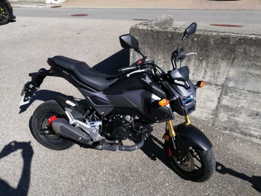 Moto Honda MSX125 | Kaufen auf Ricardo