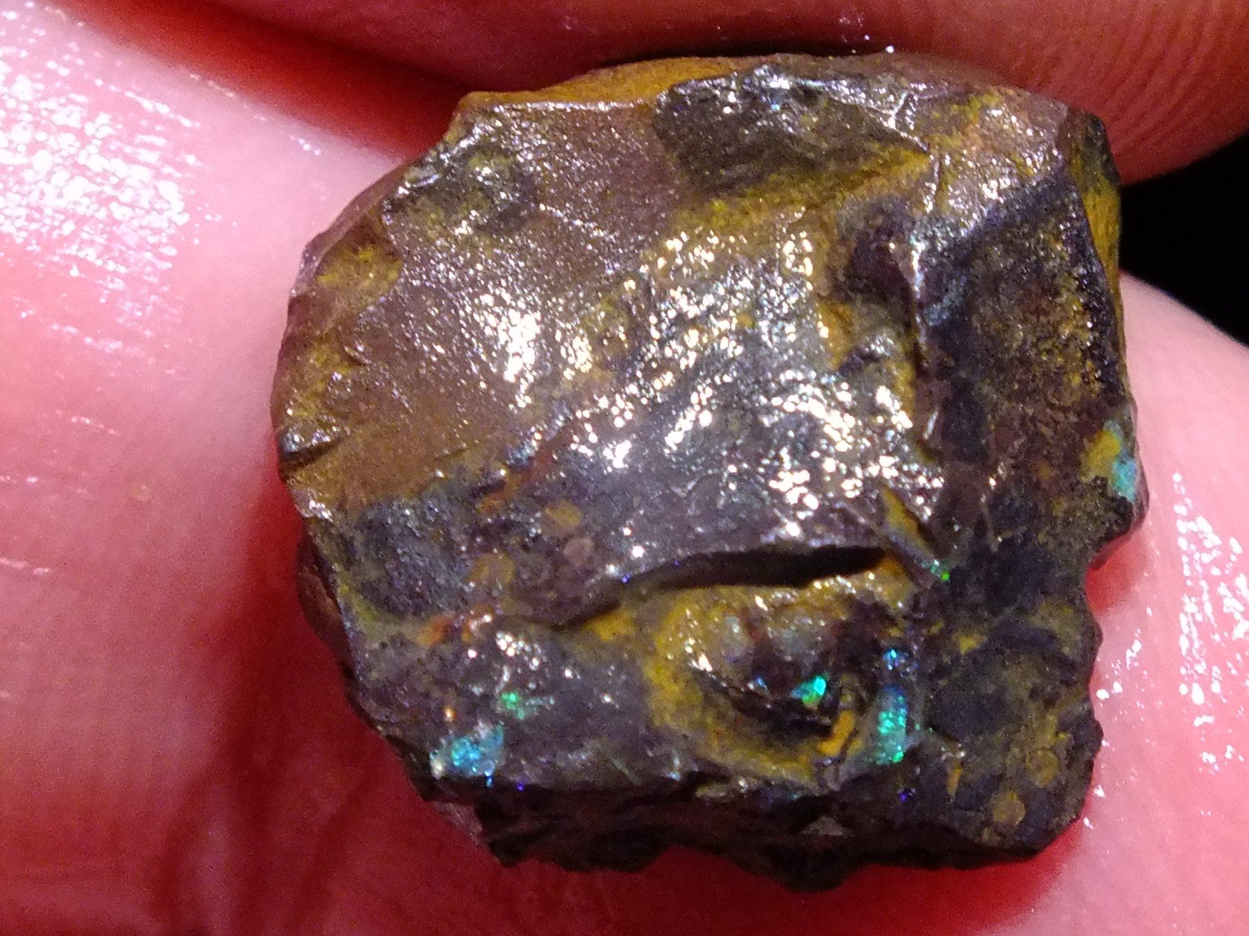 BOULDER ROH OPAL 90 karat Lot TOP QUALITAT Voll Feuer (Neu und ...