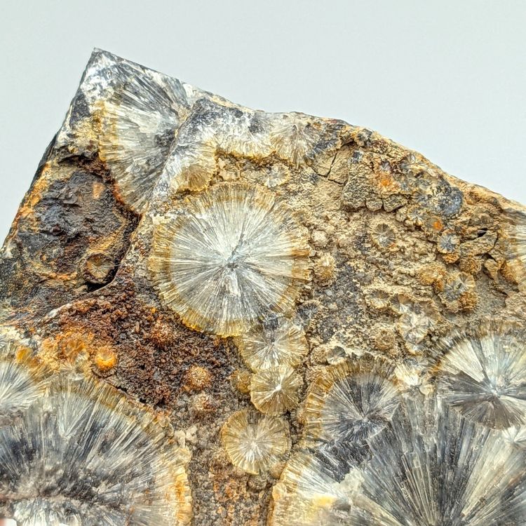 Seltene WAVELLIT RAGGIATA, SPHÄRISCHE Kristalle, UK (Nuovo (secondo la ...