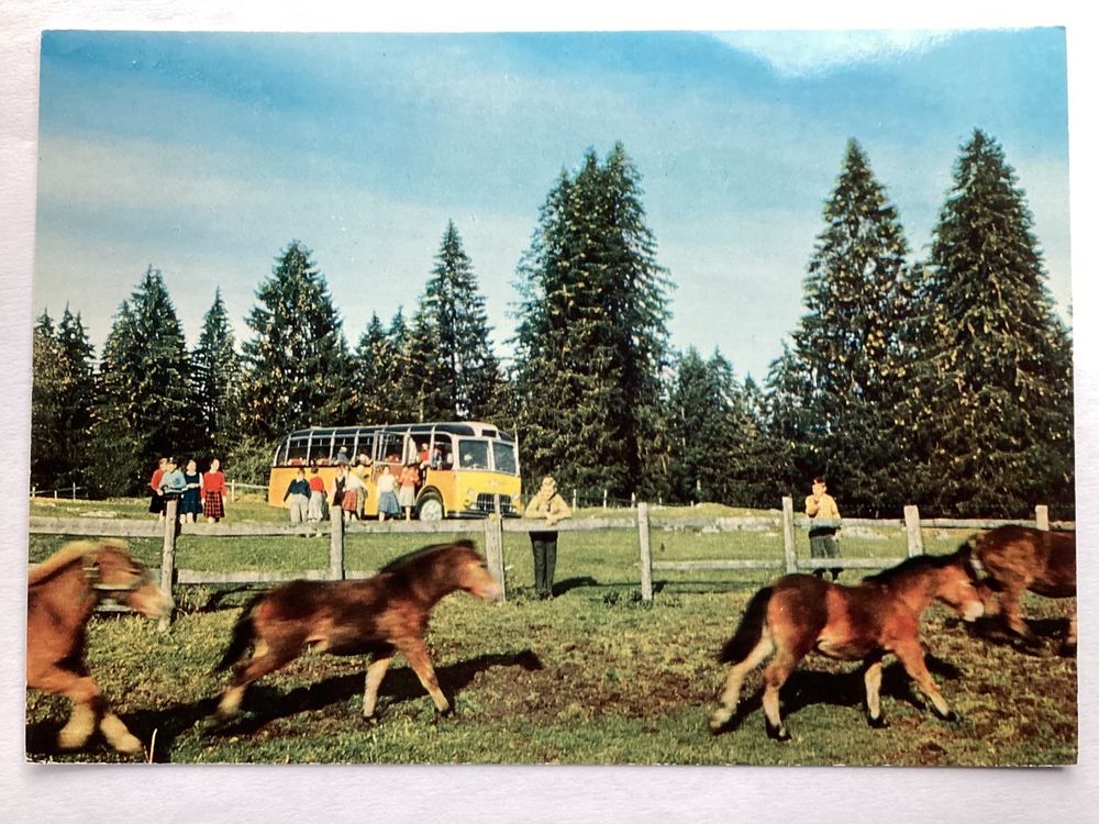 AK Postauto Autobus Saurer Jura | Kaufen auf Ricardo