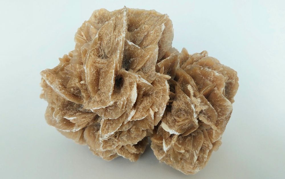 Sandrose (Neu und originalverpackt) in Hüntwangen für CHF 12 – mit ...